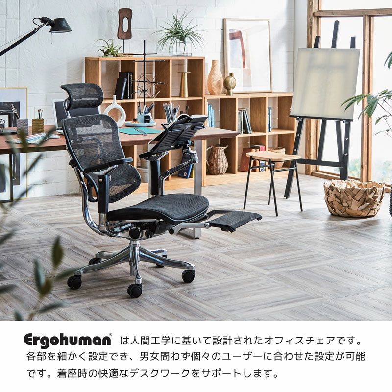 Ergohuman エルゴヒューマン プロ オフィスチェア モールド Ergohuman エルゴヒューマン プロ オフィスチェア モールド
