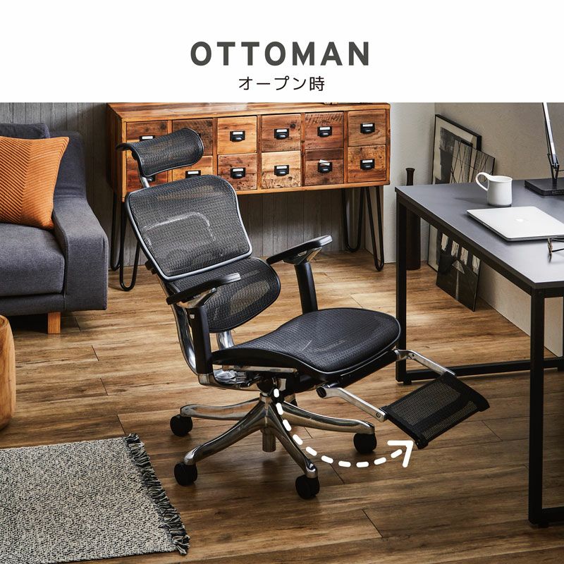 Ergohuman エルゴヒューマン プロ オフィスチェア モールド Ergohuman エルゴヒューマン プロ オフィスチェア モールド