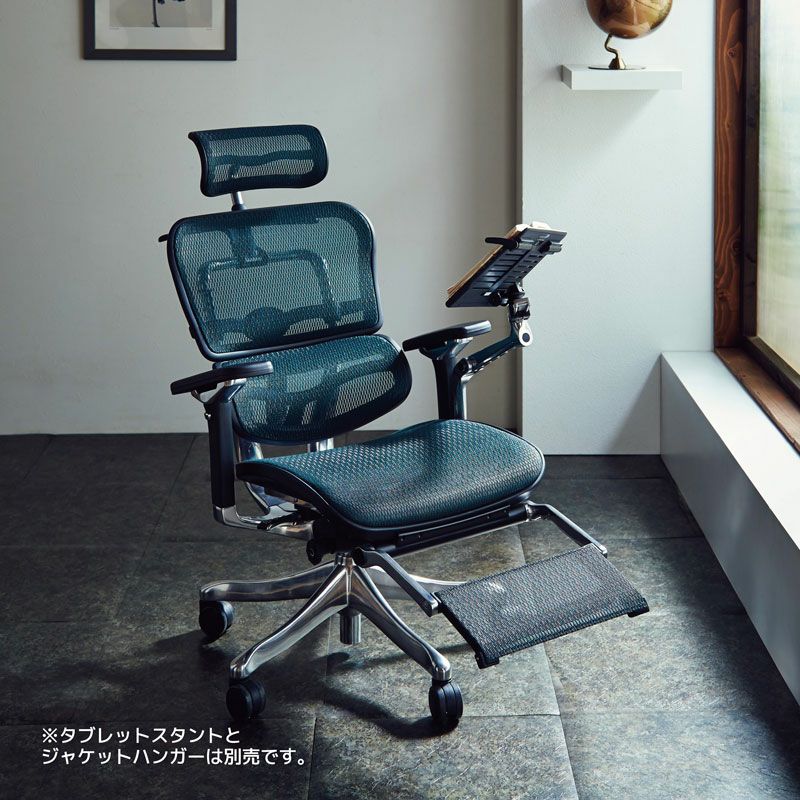 Ergohuman エルゴヒューマン プロ オフィスチェア モールド Ergohuman エルゴヒューマン プロ オフィスチェア モールド